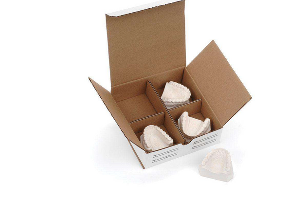 Model Storage Box, 7" x 7" x 2", 25/Pk, 9582740 – John Dental Supplies Inc