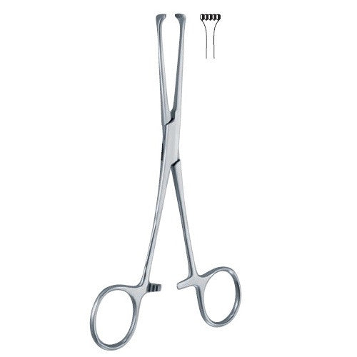 Allison Tissue Forceps – John Dental Supplies Inc