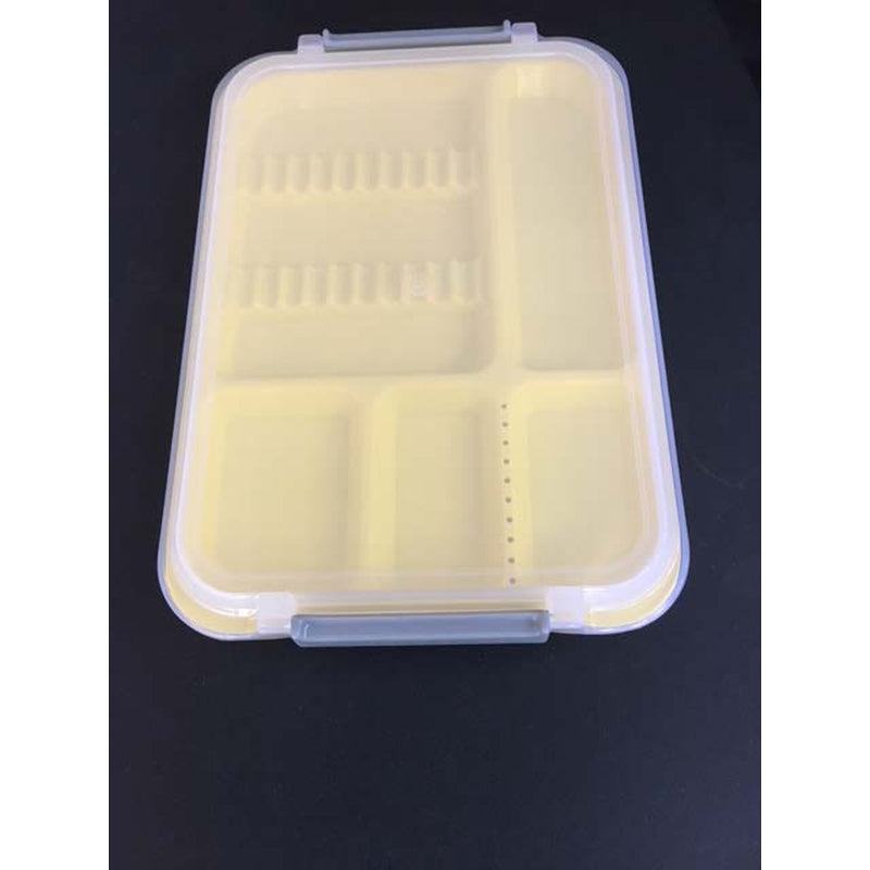 Dental Instrument Divided Tray With Lid & Handle Grip – John Dental ...